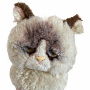 Gund | Toys | Grumpy Cat Plush Stuffed Animal Sits 6 Bean | Poshmark